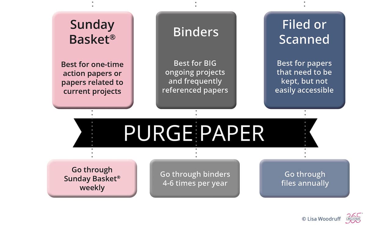 Organizing Podcast Episode 90 | How To SORT Paper | Organize 365®