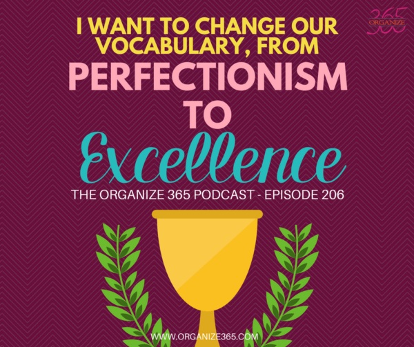 Episode 206 | Difference Between Excellence & Perfection | Organize365