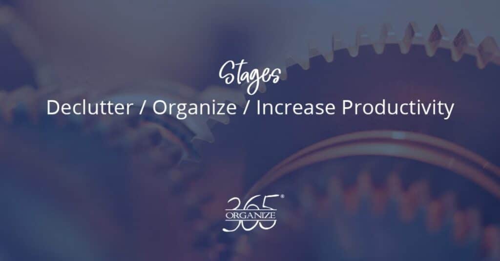 Episode 334 | Discovering Cycles & Seasons Of Organizing | Organize365