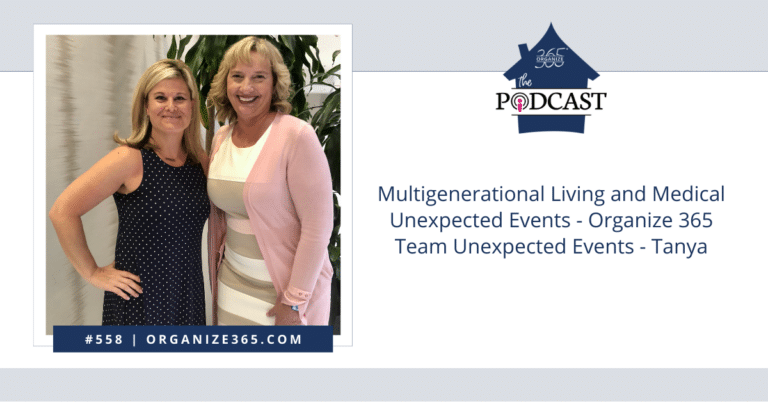 Podcasts | Complete Podcast Library About Organization | Organize365