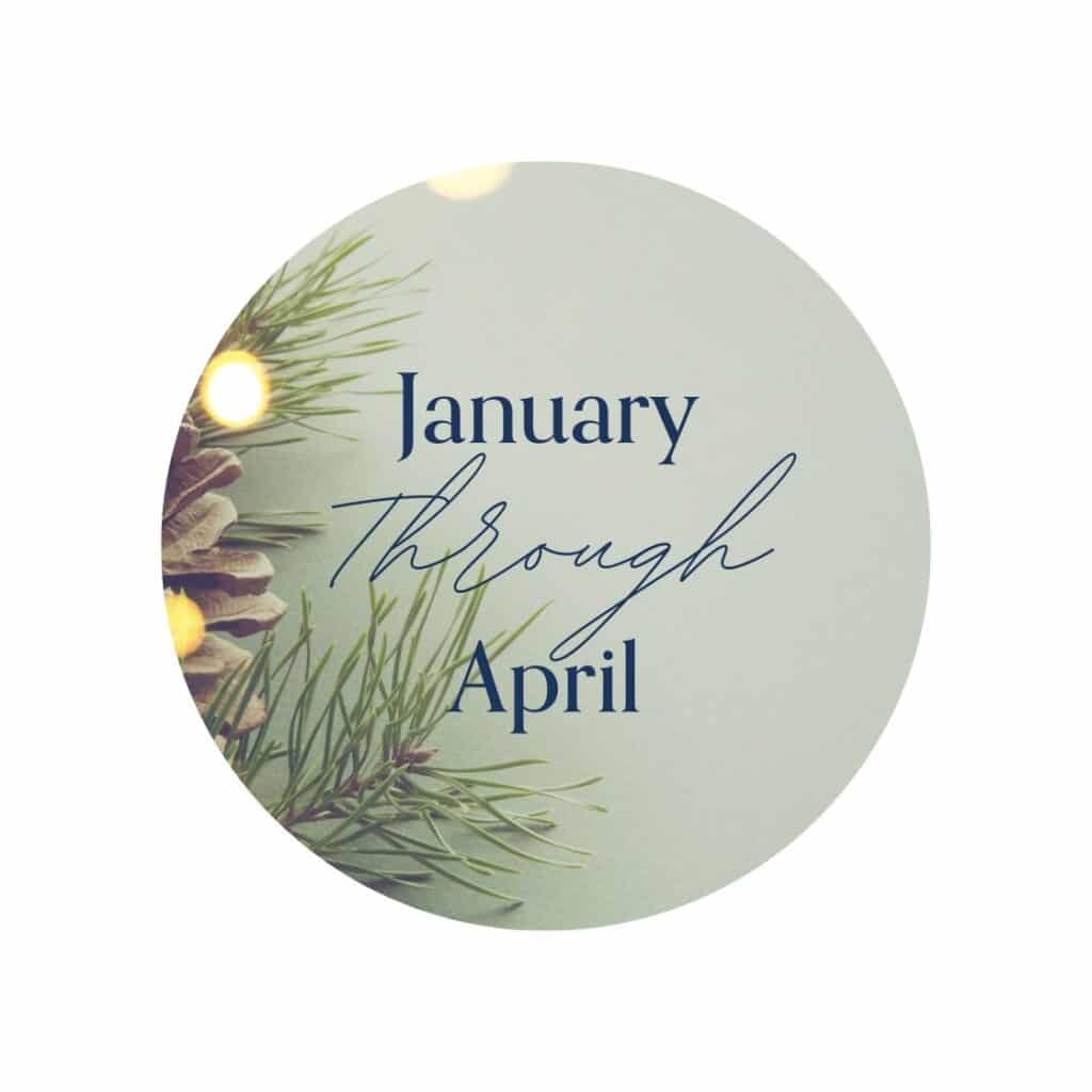 Podcast Episode 134 | How I Divide My Year Into Thirds | Organize365