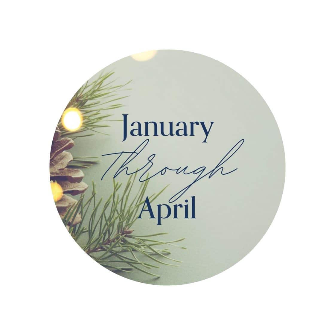 Podcast Episode 134 | How I Divide My Year Into Thirds | Organize365